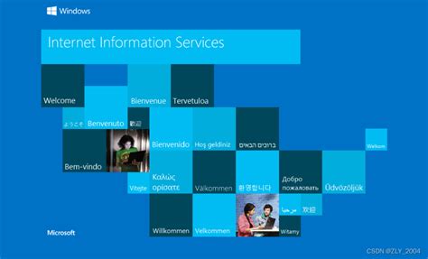 windows如何关闭iis （因为占用80端口而无法启动nginx） windows关闭iis csdn博客