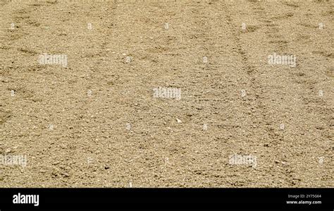 Bangladesh Field Cropland Soil Fine Grained Soil Creates An Artistic