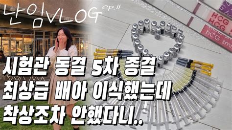난임vlog 7년차 난임 시험관 2년차 동결 5차 종결 나도 임신 할 수 있을까 Youtube