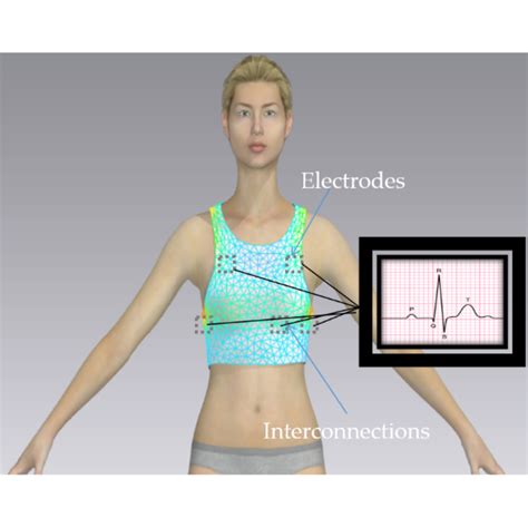 Validation Of Wearable Textile Electrodes For Ecg Monitoring At Janet Olvera Blog