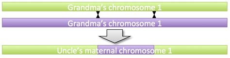 Escape From The Overlap Zone The Dna Geek