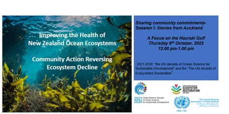 Improving The Health Of New Zealands Ocean Ecosystems Community Action Reversing Ecosystem