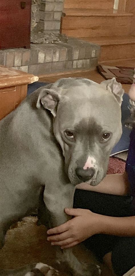 Roxy Is Not A Fan Of Disney Musicals Scrolller