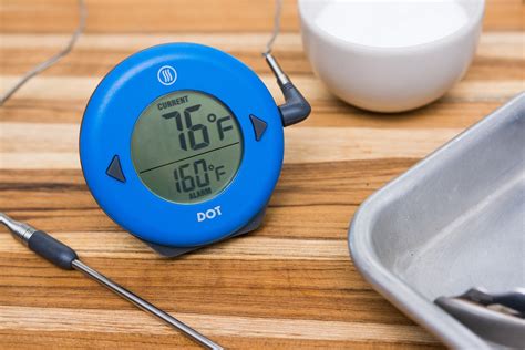 The Best Probe Thermometer Engadget