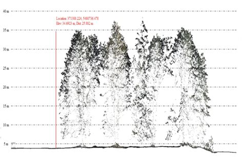 Forest inventory Kîsik Geospatial Aerial Survey