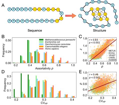 Organismal Complexity Correlates With The Assortativity Of The Residue Download Scientific