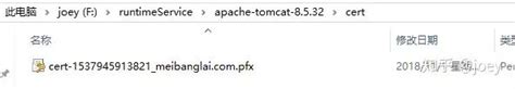 tomcat 8 5 配置协议、自动转向（证书文件为 pfx 格式） 知乎