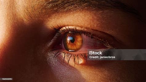 밝은 갈색 눈을 극단적 으로 클로즈업하여 눈물을 흘릴 수 있습니다 아름다운 여성 얼굴 눈 신체 부분에 대한 스톡 사진 및 기타 이미지 눈 신체 부분 눈물 찢기