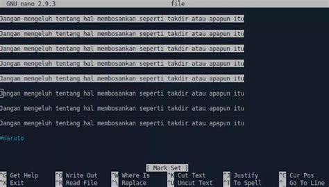 Belajar Linux Cara Menggunakan Nano Text Editor Linux Awonapa Website Dan Blogging