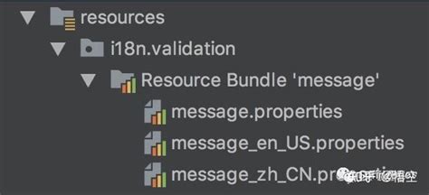 SpringBoot 使用validation数据校验之国际化问题怎么搞满满的干货值得收藏 第 篇 知乎
