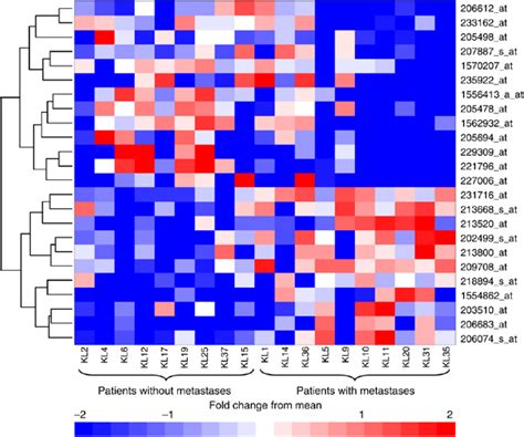 Heat Map Of Hierarchical Clustering For 24 Selected Differentially