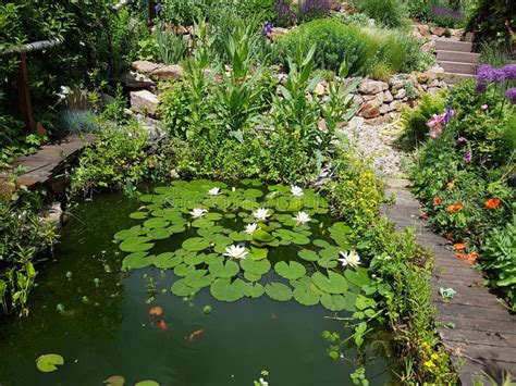 Garden Pond Stock Image Image Of Beautiful Border 210276981