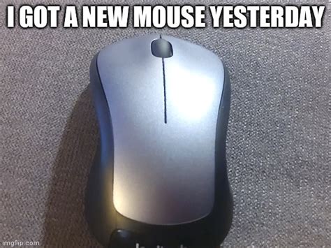 Mouse Memes And S Imgflip