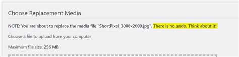 Enable Media Replace Is Removing The Original Files Shortpixel
