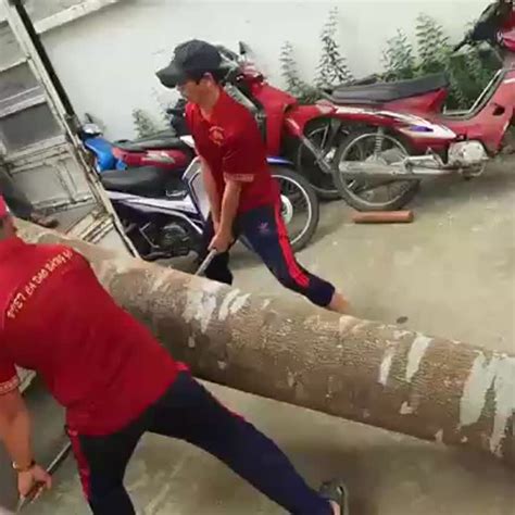 Sirajuddin Jamal Mohamed Posted On Linkedin