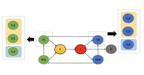 Proposed Modified Seirs Model Download Scientific Diagram