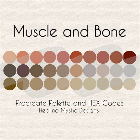 Muscle And Bone Procreate Palette Procreate Color Palette Procreate