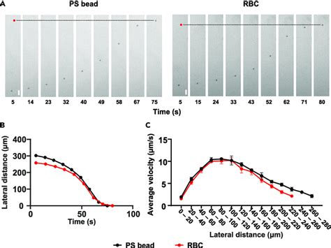 Measuring The Average Velocity Of Trapped Single Ps Bead And Rbc A