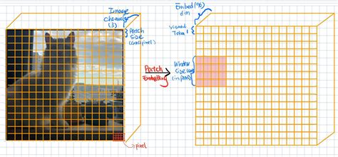 图解 代码 Swin Transformer 1 W Msa和patch Merging 知乎