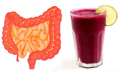 როგორ გავიწმინდოთ ნაწლავები სწორად სახლის პირობებში კილოგრამობით მავნე ნარჩენს მოიშორებთ