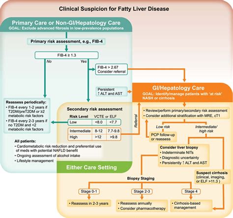 Spare Me The Jab Noninvasive Assessment Of Patients With Masld Aasld