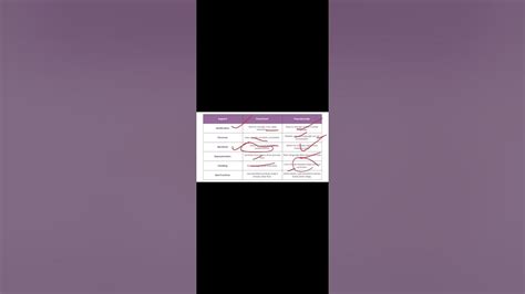 Difference B W Flowchart And Pseduocode Pallavi Asst Professor Cse Department Rpiit