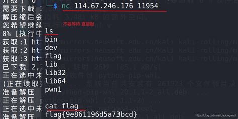 Bugku Ctf Pwn 2020 Pwn Writeupctf Nc Csdn博客