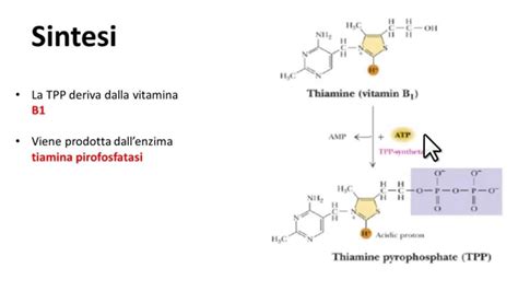 3 3 Biochimica 1 1 1 Tiamina Pirofosfato Tpp Coenzima Organico Youtube
