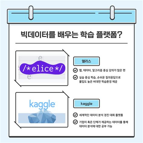 숙명여자대학교 빅데이터의 공부 꿀팁 빅데이터 혁신융합대학
