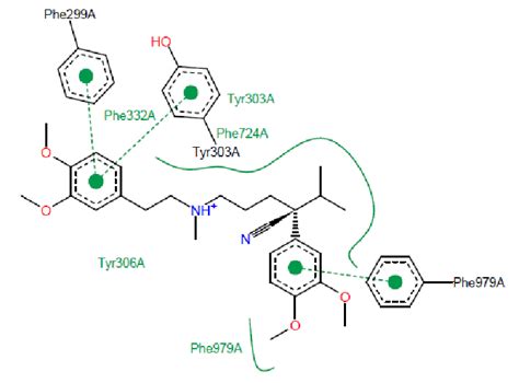 Structure Activity Relationship Between Verapamil R Conformations 15 Download Scientific
