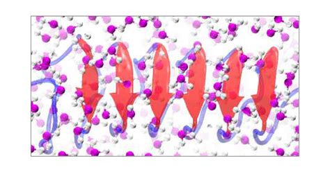 Elucidating The Sluggish Water Dynamics At The Ice Binding Surface Of The Hyperactive Tenebrio