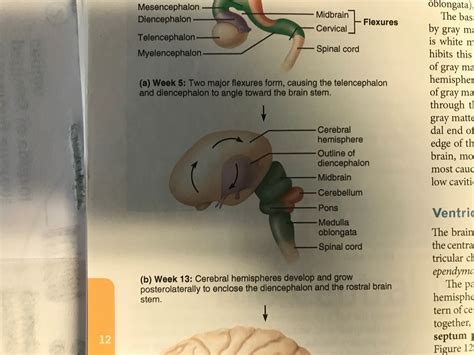 Practical Diagram Quizlet