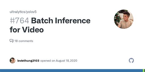 Batch Inference For Video Issue Ultralytics Yolov GitHub