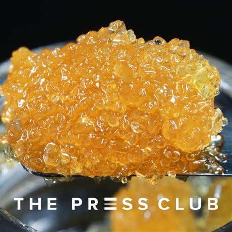 The Difference Between Solvent Vs Solventless Vs Solvent Free