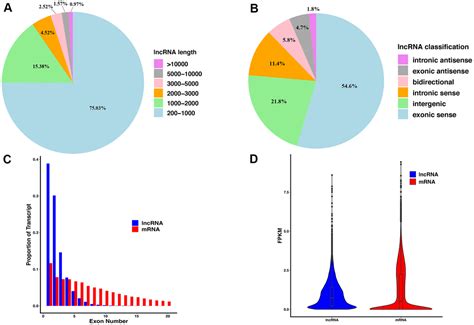 Integrated Analysis Of Long Noncoding Rnas And Mrna Expression Profiles Reveals The Potential