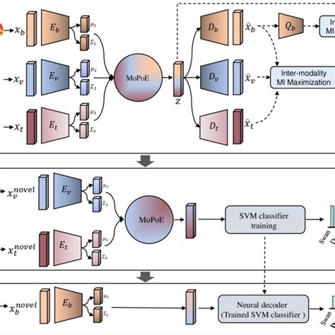 A Brain Image Text Joint Representation Learning The Model Works In Download Scientific