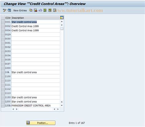OB SAP Tcode C FI Maintain Table T