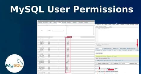 How To Check And Assign Privileges To A Mysql User Techdirectarchive