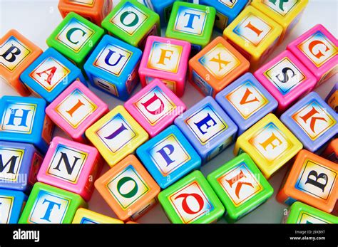 Type Model Build Objects Education Game Tournament Play Playing