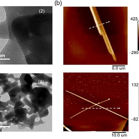 Characterization Of Self Assembled Nanomaterials A High Resolution Download Scientific