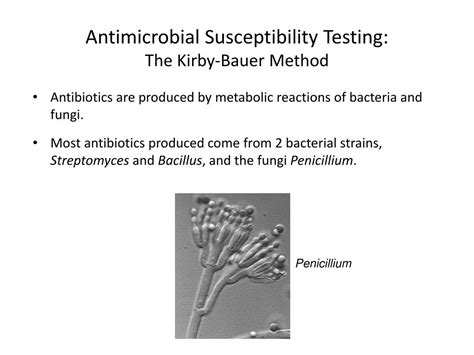 Ppt Lab 8 Approach To Identification Api System And Antimicrobial