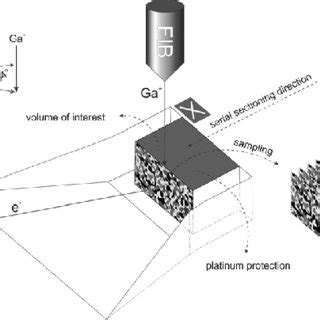 Schematic View Of FIB SEM Settings And The Measuring Procedure Download Scientific Diagram