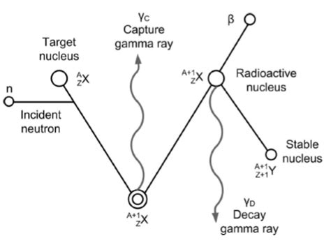 Forensics Flashcards Quizlet