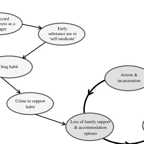 Conceptual Framework To Understand The Prison To Community Transition