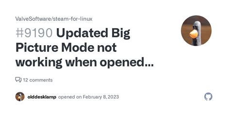 Updated Big Picture Mode Not Working When Opened From Gui · Issue 9190