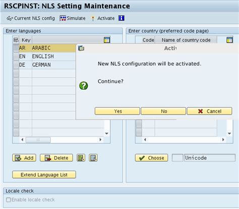Supercharge Your SAP Basis Skills Installation Of Languages On SAP Systems