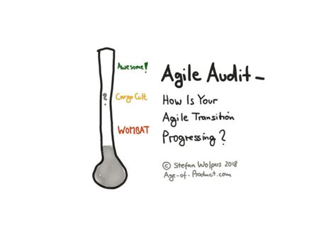 Agile Audit How Is Your Agile Transition Progressing