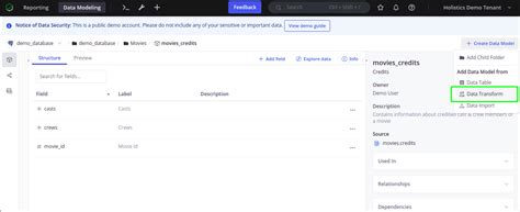 Transform Your Data Holistics Docs