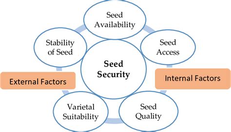 Seed Security Framework Source Authors Synthesis 2020 Download