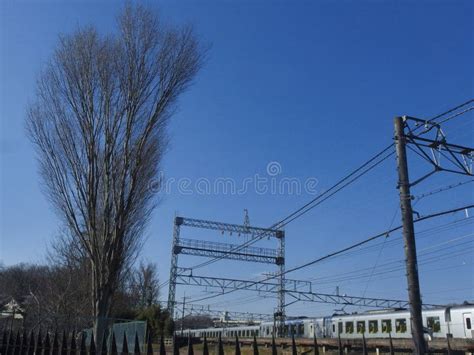 Bare Branches Overhead Wires Train Tracks Under The Azure Sky Stock Photo Image Of